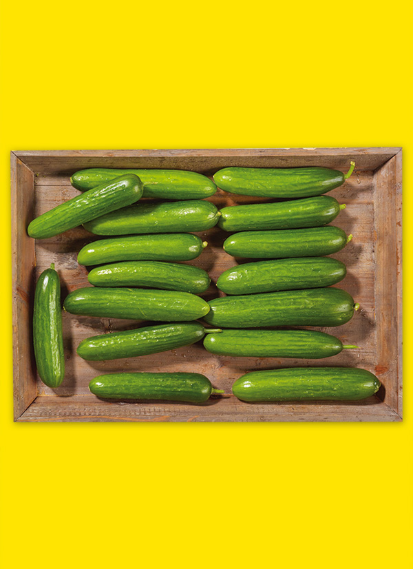 NORMA - Ihr Lebensmittel-Discounter | Mini Gurken aus Baden-Württemberg ...