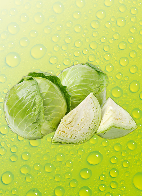 NORMA - Ihr Lebensmittel-Discounter | Weißkohl | OBST & GEMÜSE | Angebote