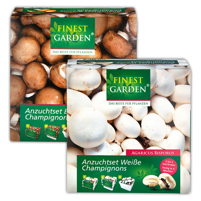 NORMA - Ihr Lebensmittel-Discounter | Champignon-Anzuchtset | Der grüne ...
